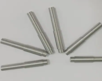 Platinum Iridium Microelectrode - TRM